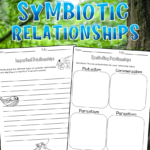 Symbiotic Relationships | Worksheets | BOOM Cards | Distance Learning ...