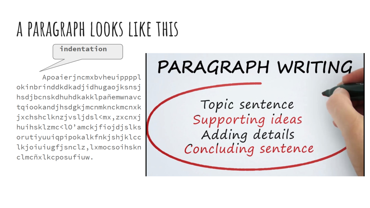 How to write a descriptive paragraph | Made By Teachers
