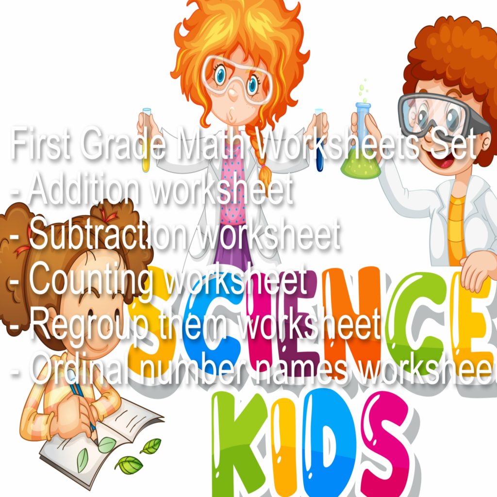 Human Body Anatomy Set | Made By Teachers