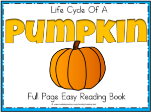 Pumpkin Life Cycle Book (12 pages) - Made By Teachers