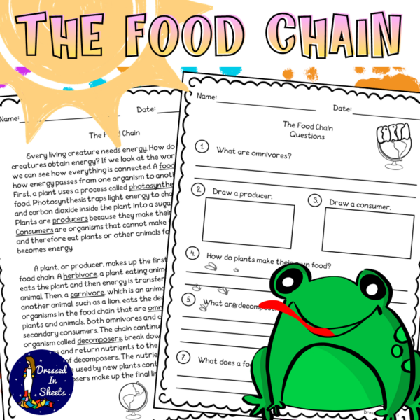 The Food Chain Diagram and Worksheets | BOOM Cards | Distance Learning ...