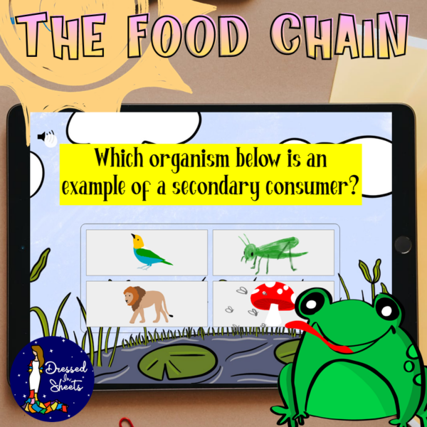 The Food Chain Diagram and Worksheets | BOOM Cards | Distance Learning ...