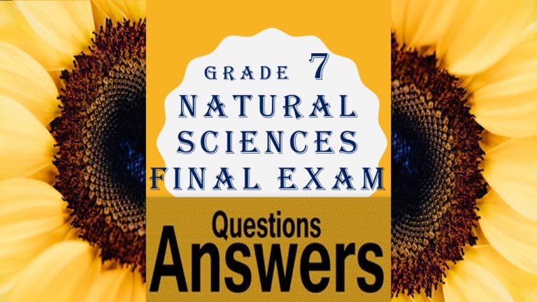 Gr 3 MATHEMATICS WORKSHEET ON SPACE &SHAPE (2) | Made By Teachers