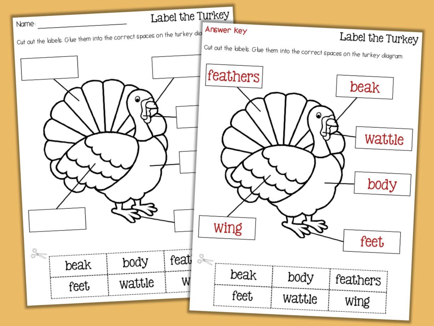 Thanksgiving Reading And Math No Prep Worksheets 1st Grade Made By