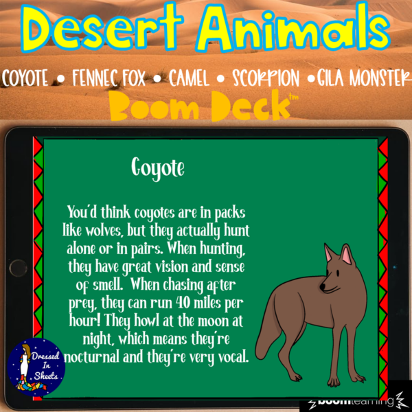 Desert Animal Facts and Quiz - Made By Teachers