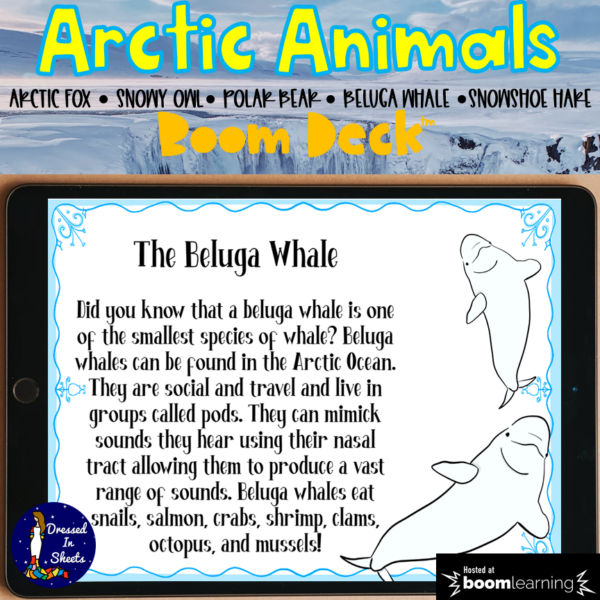 Arctic Animals Facts and Quiz | Made By Teachers