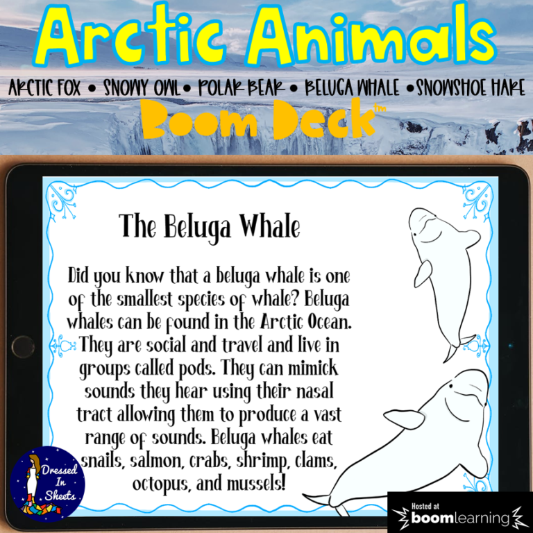 Arctic Animals Facts and Quiz | Made By Teachers