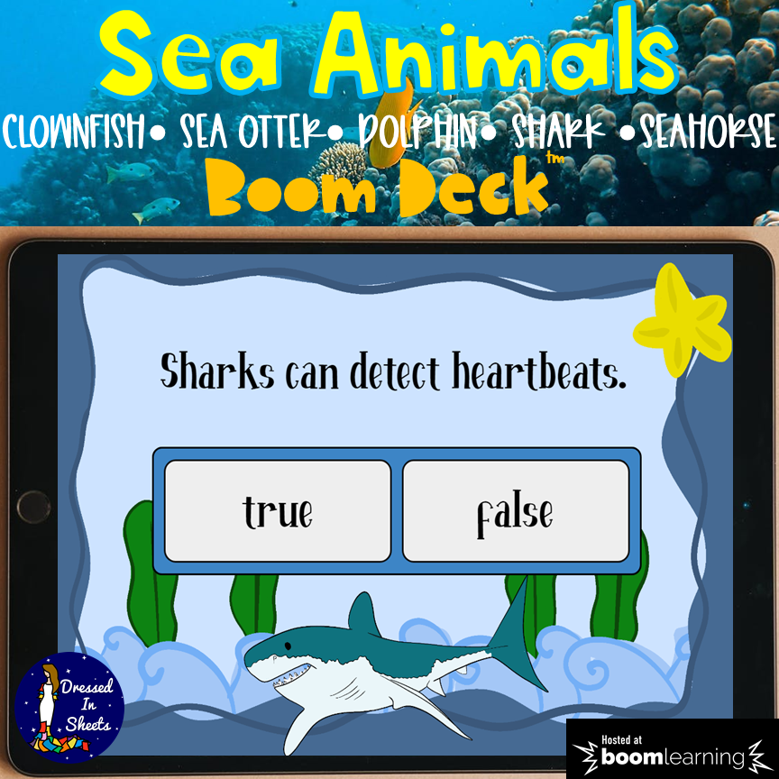 Sea Animals Facts and Quizzes | Made By Teachers