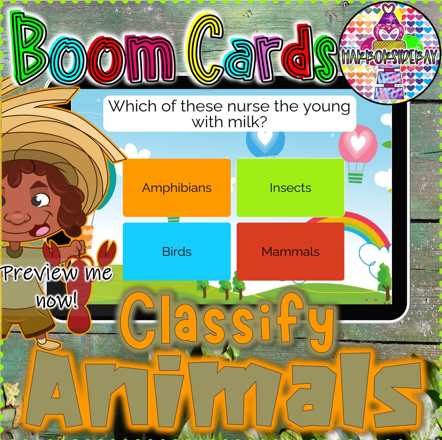 Animal Classification - Made By Teachers