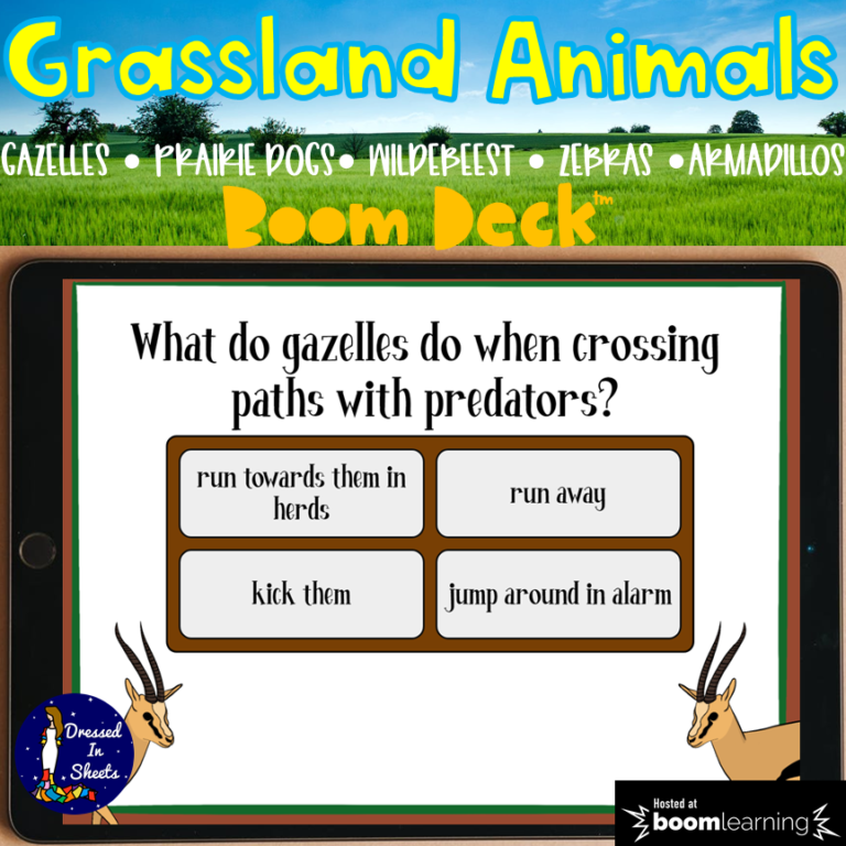 Grassland Animals Facts and Quiz | Made By Teachers