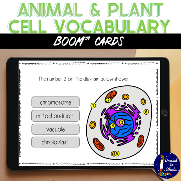 Plant and Animal Cell BOOM Cards | Made By Teachers