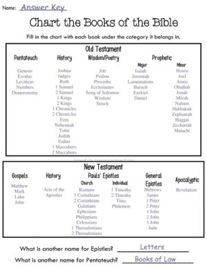 Books of the Bible Activity Pack 2 - Catholic | Made By Teachers