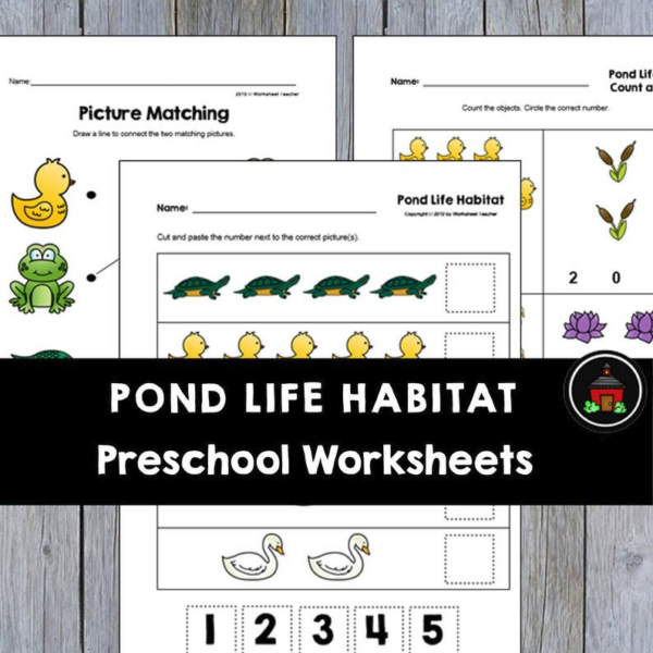 Color by Sight Words - Made By Teachers