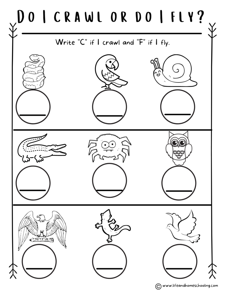 Fall Numbers Matching | Made By Teachers