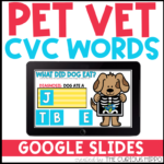 Pet Vet CVC Words Digital Activity | Made By Teachers