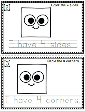 All About Squares FlipBook | Made By Teachers