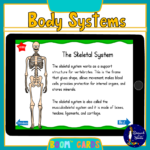 Body Systems BOOM Cards | Made By Teachers