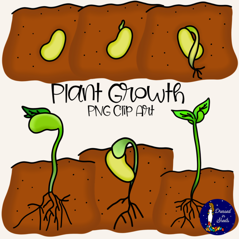 Plant Growth Clip Art - Made By Teachers