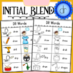 Initial Blend DR Worksheets | Made By Teachers