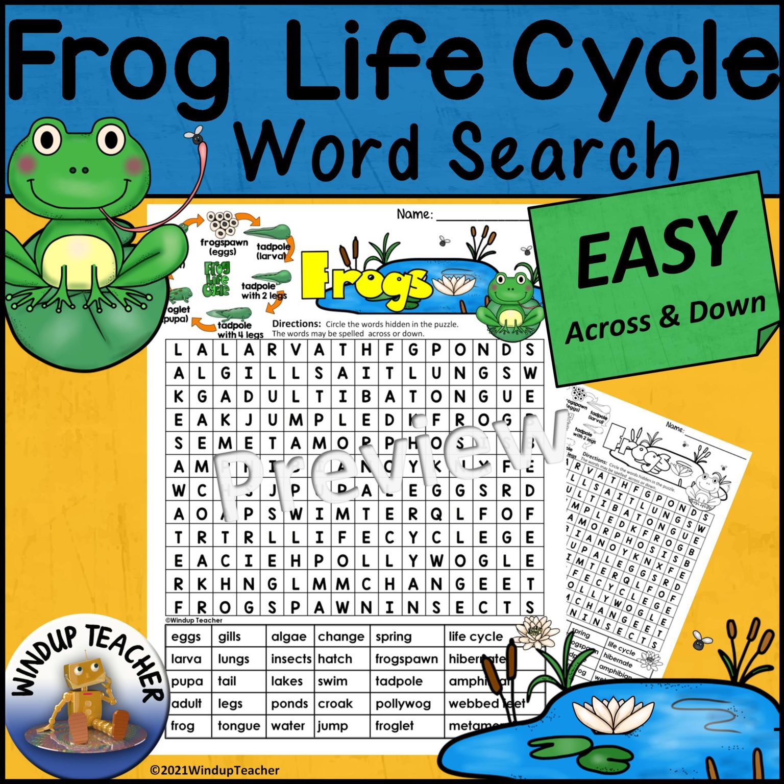 Frog Life Cycle Word Search EASY Puzzle | Made By Teachers