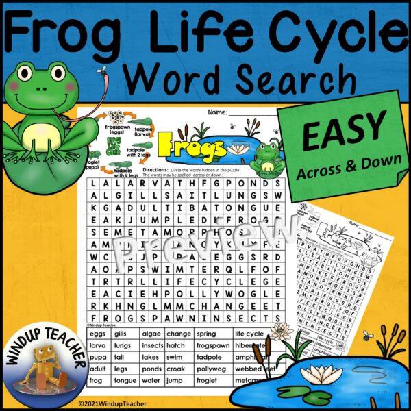 Frog Life Cycle Word Search EASY Puzzle | Made By Teachers