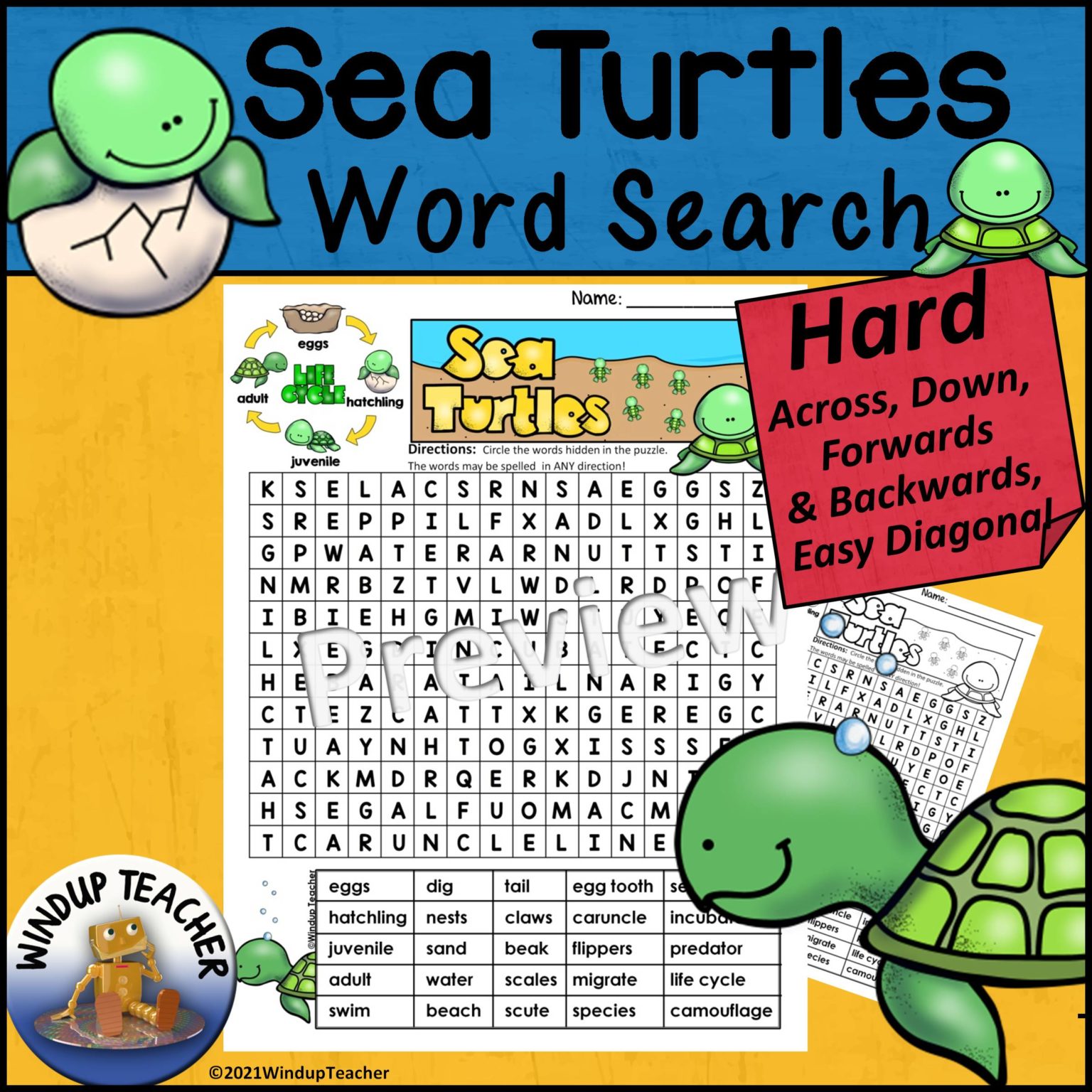 Life Cycle Word Search BUNDLE - Made By Teachers