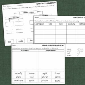Vertebrates & Invertebrates Animal Classification | Made By Teachers