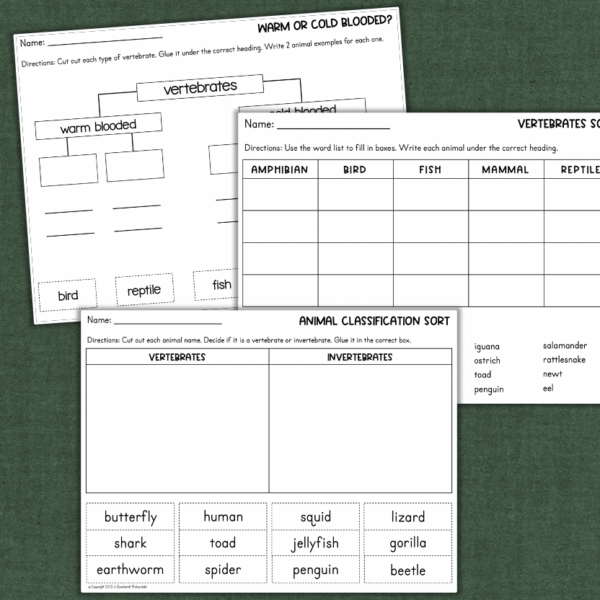 Vertebrates & Invertebrates Animal Classification | Made By Teachers
