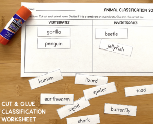 Vertebrates & Invertebrates Animal Classification | Made By Teachers