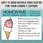 Multiple Meaning Words HOMONYMS Task Cards - Made By Teachers