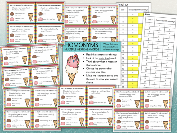 Multiple Meaning Words HOMONYMS Task Cards - Made By Teachers