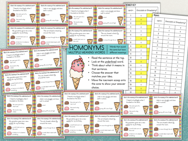 Multiple Meaning Words HOMONYMS Task Cards - Made By Teachers