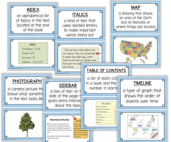 Nonfiction TEXT FEATURES Posters & Activities - Made By Teachers