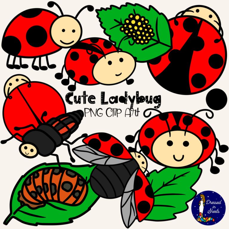 Cute Ladybug Clip Art - Made By Teachers