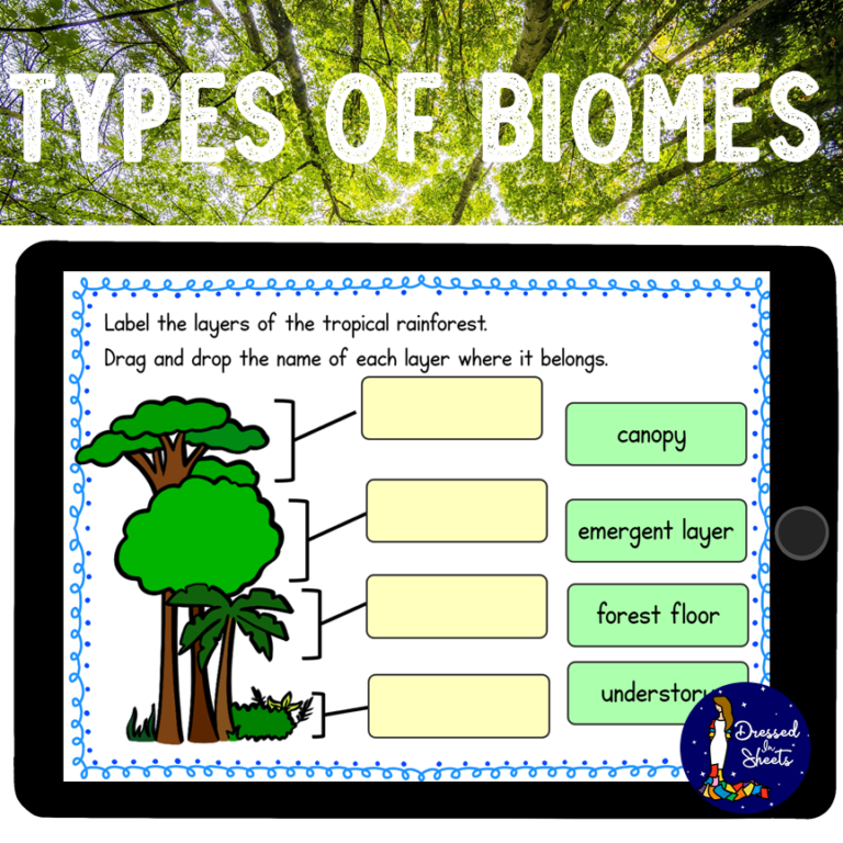 Types of Biomes Worksheets and BOOM Cards | Made By Teachers