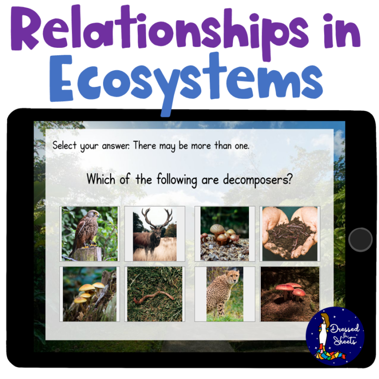Relationships in Ecosystems Vocabulary BOOM Cards | Made By Teachers