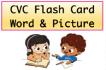 CVC WORDS - FLASH CARDS - 100 WORDS - Made By Teachers