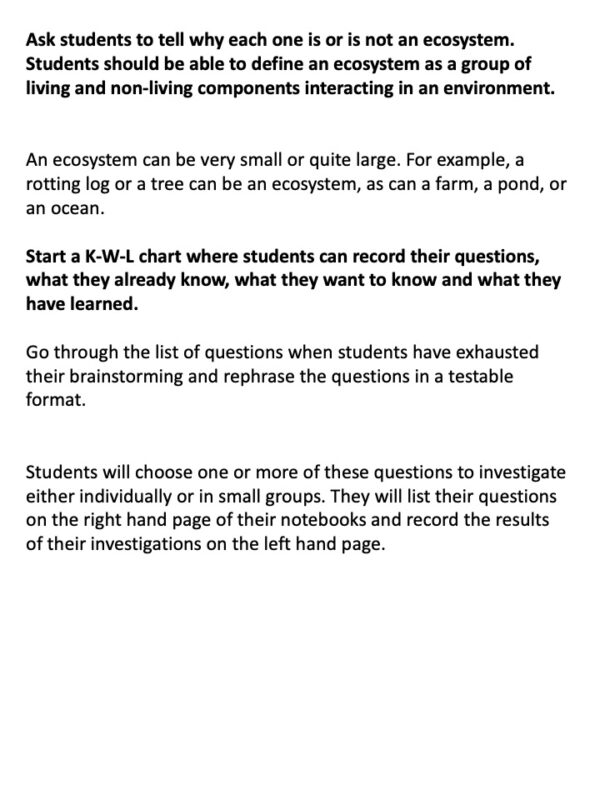 Grade 7 Science: Interactions Within Ecosystems - Made By Teachers