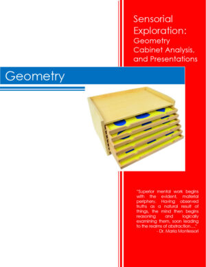 Geometry 1 Lessons 2D Shapes Montessori Unit 2 | Made By Teachers