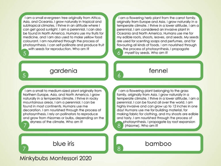 Plant Stories Riddles and Research Montessori | Made By Teachers