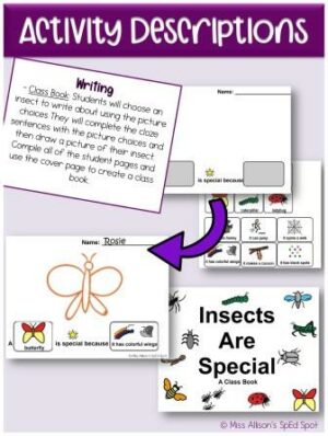 Insects Thematic Group Activities for Special Ed - Made By Teachers