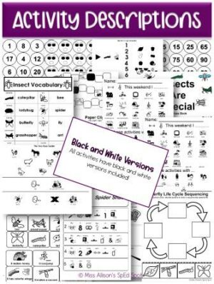 Insects Thematic Group Activities for Special Ed - Made By Teachers