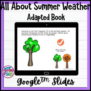 Summer Weather Adapted Book Google Slides | SpecEd - Made By Teachers