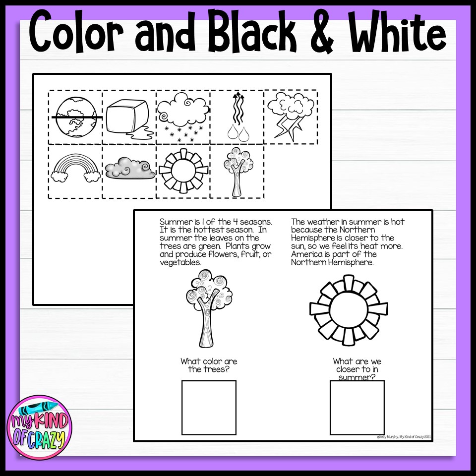 Summer Weather Adapted Book Printable | SpecEd | Made By Teachers