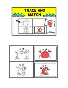 Summer Shapes Task Cards | Made By Teachers