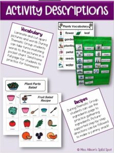 Plants & Flowers Thematic Group for Special Ed | Made By Teachers