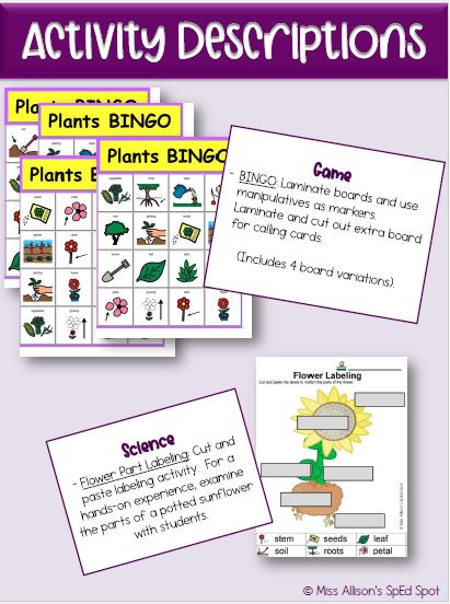 Plants & Flowers Thematic Group for Special Ed | Made By Teachers