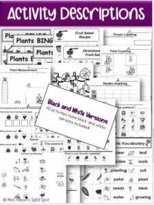 Plants & Flowers Thematic Group for Special Ed | Made By Teachers