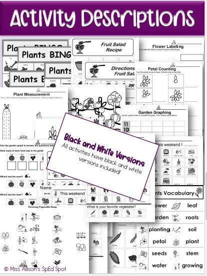 Plants & Flowers Thematic Group for Special Ed | Made By Teachers