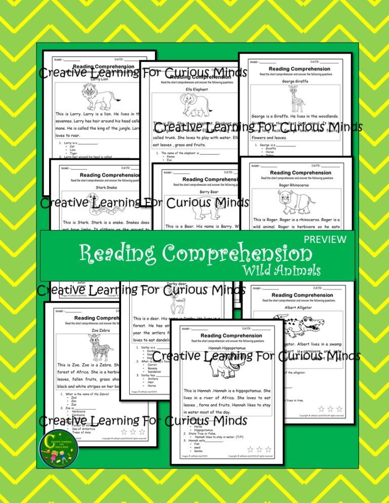 Reading Comprehension Wild Animals | Made By Teachers